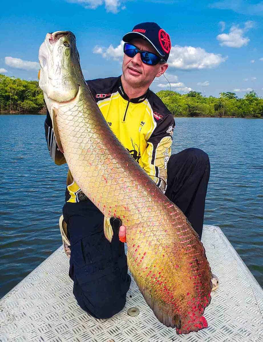 Monstros De Peixes Do Rio Amazonas